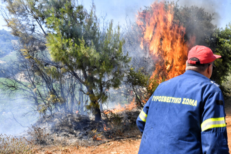 (ΑΝΑΝΕΩΜΕΝΟ) ΦΩΤΙΑ ΣΤΙΣ ΕΡΥΘΡΕΣ ΑΤΤΙΚΗΣ – ΕΚΚΕΝΩΘΗΚΕ ΠΑΙΔΙΚΗ ...