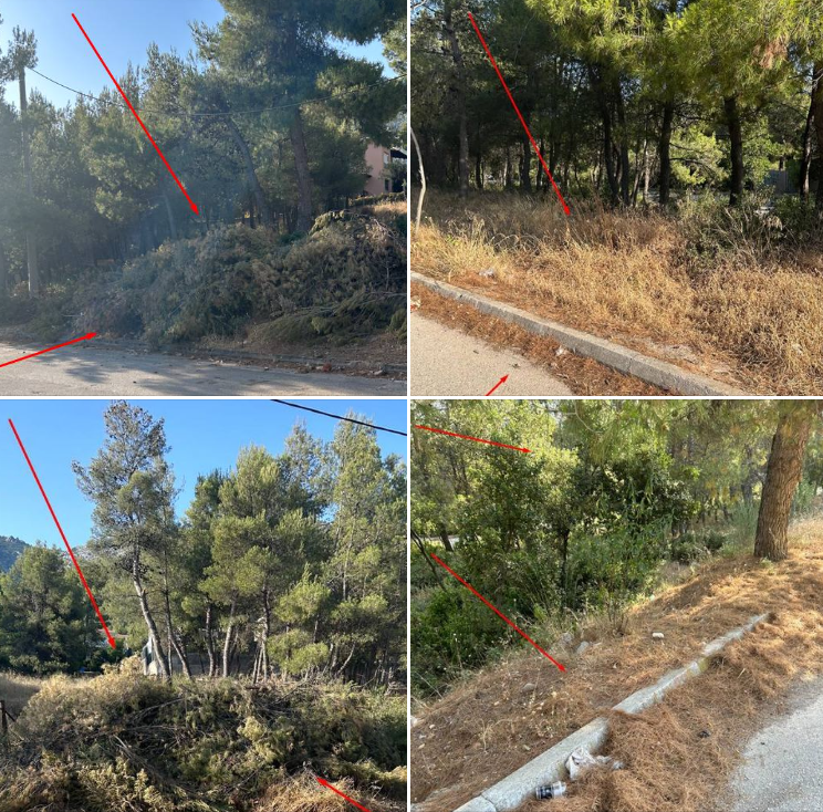 ΕΤΟΙΜΟΣ Ο ΔΙΟΝΥΣΟΣ ΝΑ ΚΑΕΙ ! ΟΙ ΕΙΚΟΝΕΣ ΠΑΝΩ ΑΠΟ ΤΙΣ ΠΑΙΔΙΚΕΣ ...
