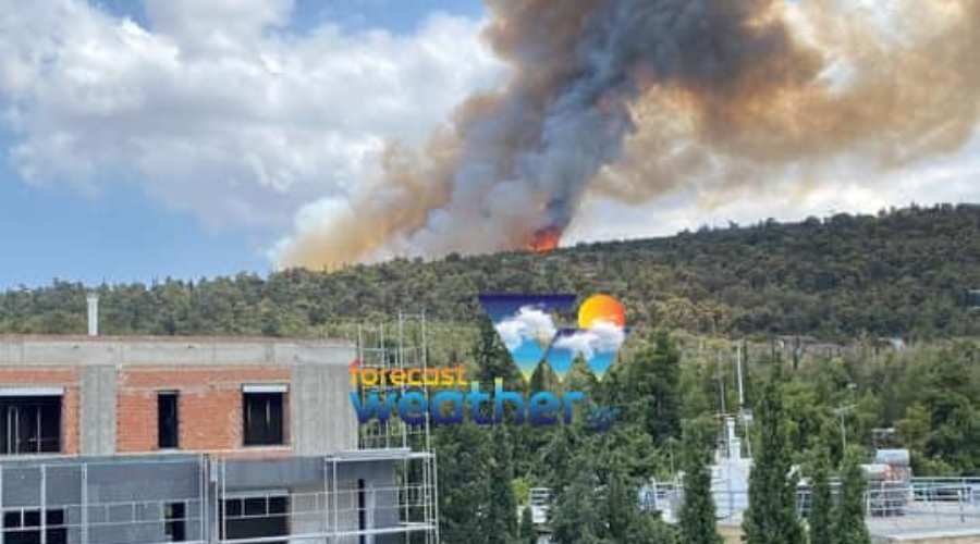 ΜΕΓΑΛΗ ΠΥΡΚΑΓΙΑ ΣΕ ΔΑΣΙΚΗ ΕΚΤΑΣΗ ΣΤΑ ΓΛΥΚΑ ΝΕΡΑ – ΚΑΙΓΕΤΑΙ Η ΑΚΡΗ ΤΟΥ ...