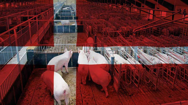 Πρώτη η Δανία τιμώρησε τη γεωργία – Makeleio.gr