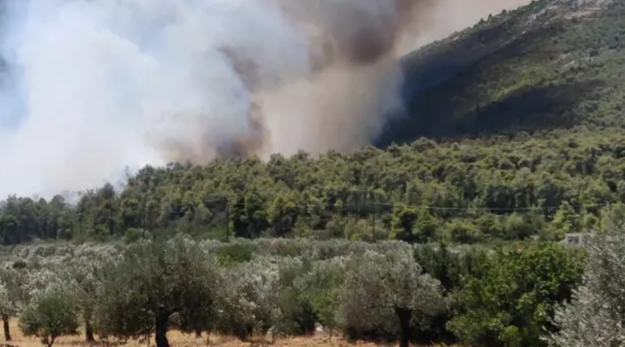 ΑΝΕΞΕΛΕΓΚΤΗ Η ΚΑΤΑΣΤΑΣΗ ΣΤΟ ΣΟΦΙΚΟ – ΕΝΙΣΧΥΘΗΚΑΝ ΟΙ ΔΥΝΑΜΕΙΣ ΤΗΣ ...