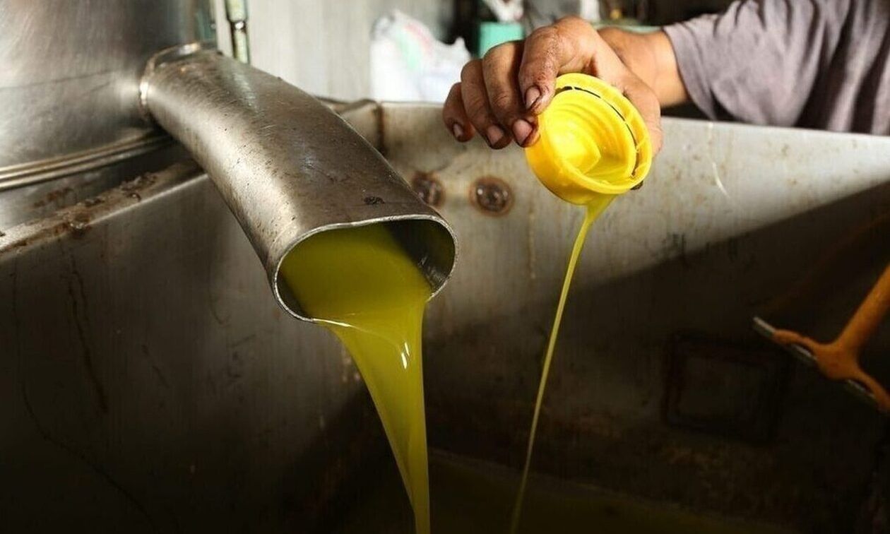 ΕΛΑΙΟΛΑΔΟ – Η ΠΕΛΟΠΟΝΝΗΣΟΣ ΚΑΙ Η ΔΥΤΙΚΗ ΕΛΛΑΔΑ ΘΑ “ΣΩΣΟΥΝ” ΤΗ ΧΡΟΝΙΑ ...