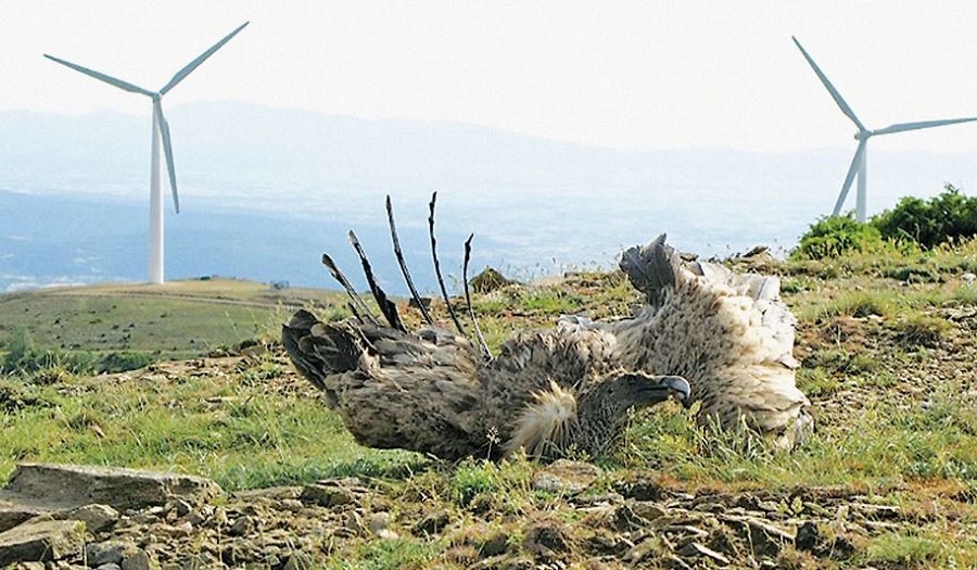 ΠΟΙΕΣ NATURA; ΠΟΙΑ ΚΑΜΜΕΝΑ; ΠΟΙΟ ΠΕΡΙΒΑΛΛΟΝ; ΑΔΕΙΕΣ ΓΙΑ ΓΙΓΑΝΤΙΑΙΟ ...