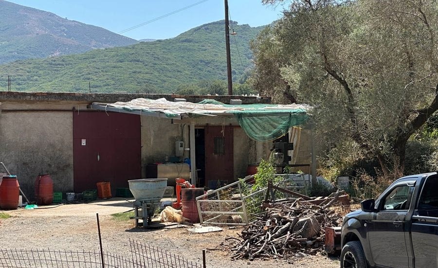 Ο ΝΟΜΟΣ ΤΗΣ ΠΡΟΒΑΤΟΨΑΛΙΔΑΣ ΣΤΗΝ ΚΡΗΤΗ: ΘΡΙΛΕΡ ΠΙΣΩ ΑΠΟ ΤΗΝ ΑΠΟΠΕΙΡΑ ...