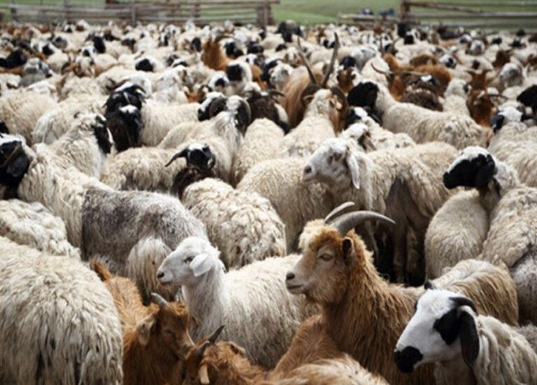 ΤΑ ΕΙΧΑΜΕ ΓΡΑΨΕΙ ΑΠΟ ΤΟΝ ΟΚΤΩΒΡΙΟ – ΦΤΑΣΑΜΕ ΙΑΝΟΥΑΡΙΟ ΚΑΙ ΑΚΟΜΑ ΔΕΝ ...