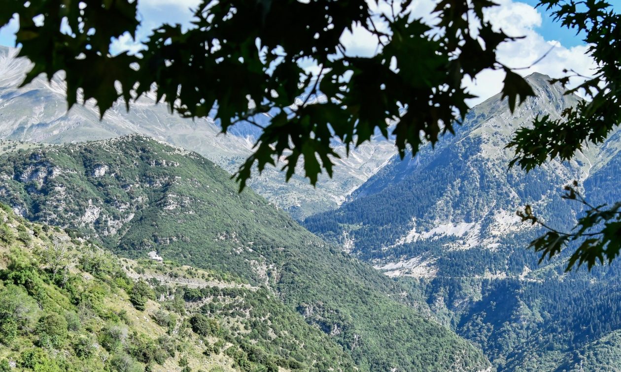 Πληκάτι: Ο ορεινός «θησαυρός» της Ηπείρου με τα πανέμορφα δάση ...