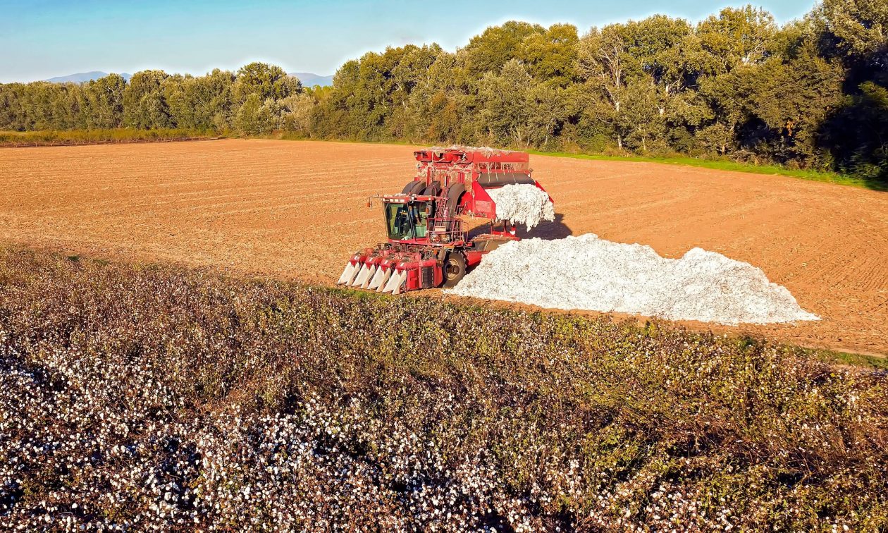 Εντός Φεβρουαρίου η ρύθμιση για τα «κόκκινα» αγροτικά δάνεια – Makeleio.gr